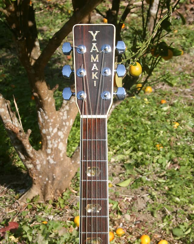 Yamaki 150 Solid Top and Solid Back D35 Japan Vintage Guitar | Reverb