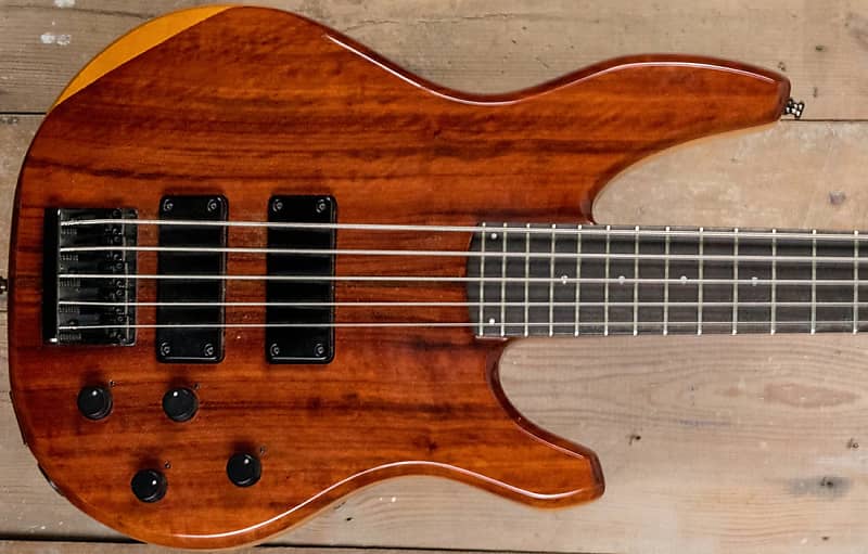 Overwater Progress V Through Neck 5-String Bass Guitar | Reverb