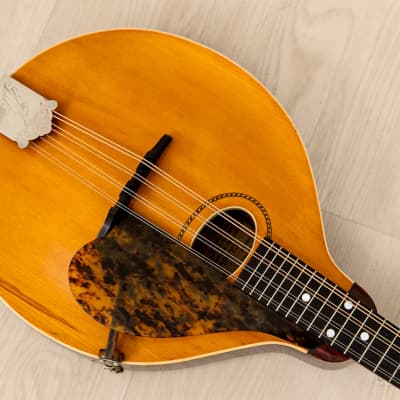 1918 Gibson Style A Mandolin Pumpkin Top Collector-Grade w/ | Reverb