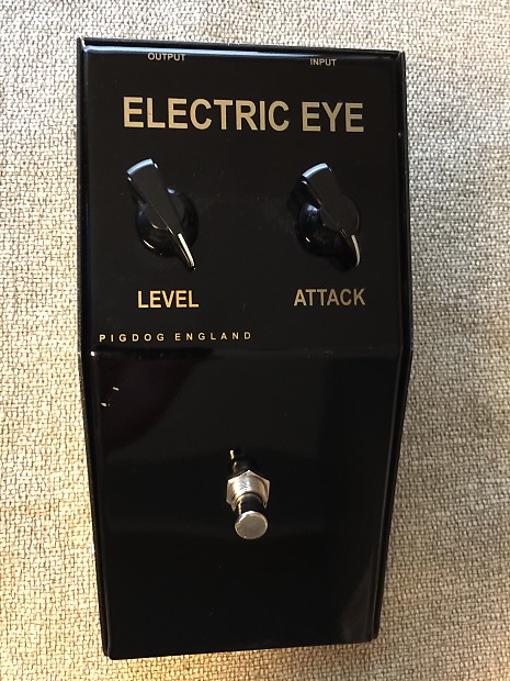 Pigdog Electric Eye 2012 | Reverb