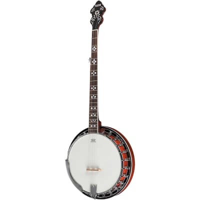 Recording King RK-R20 Songster 5-String Tone Ring Banjo | Reverb
