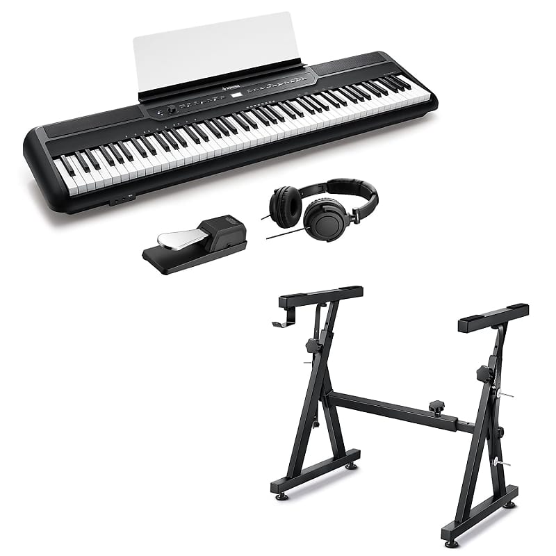 Digital Piano + Z-Style Heavy-Duty Keyboard Stand | Reverb
