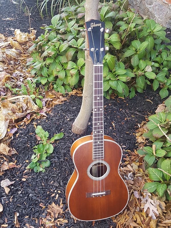 Gibson Baritone Ukulele (Kalamazoo Special) 2019 Natural | Reverb