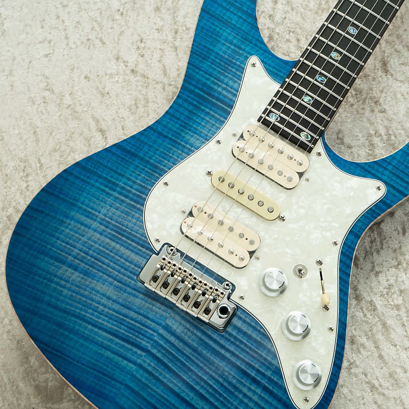 FREEDOM CUSTOM GUITAR RESEARCH HYDRA 24F 2Point | Reverb UK