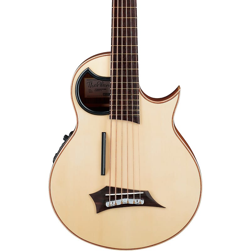 Warwick Alien 6-String Acoustic Bass Acoustic Bass | Reverb
