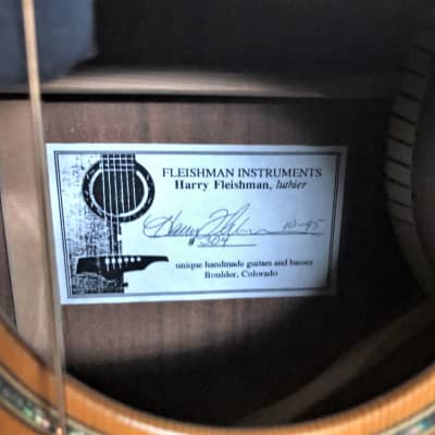 Harry Fleishman 'Dragonfly'. 1995 One of a Kind Acoustic | Reverb