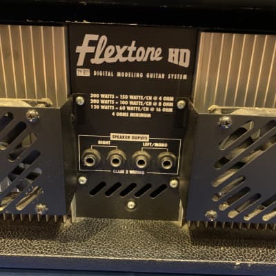 Line 6 Flextone HD 2x150-Watt Stereo Digital Modeling Guitar | Reverb