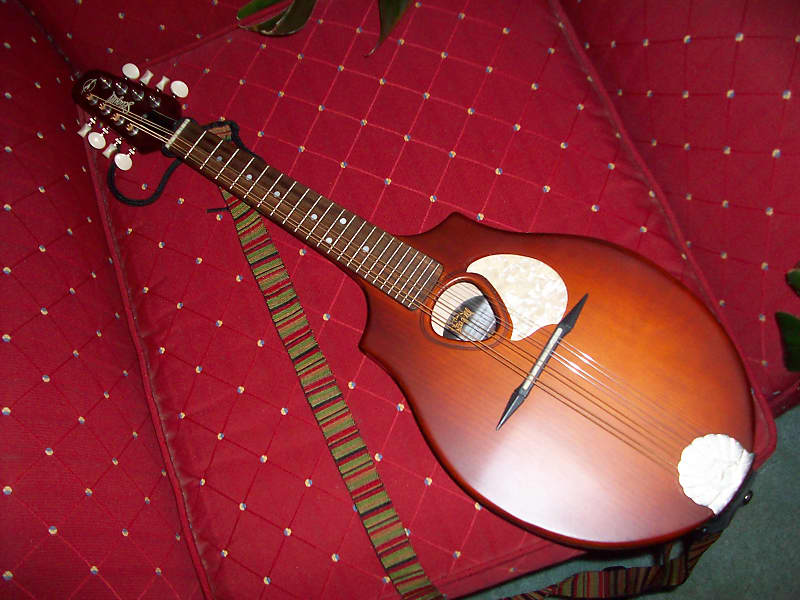 Seagull S8 Burnt Umber Flame Maple with bag | Reverb