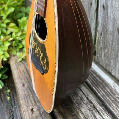 Lyon and Healy Italian Style Bowlback Mandolin Brazilian | Reverb