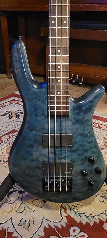 Spector NS-2000/4 | Reverb