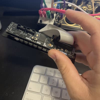 Morphor quad gate/cv 2024 - Black | Reverb