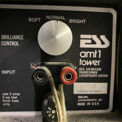 RARE ESS AMT 1 Tower Speakers | Reverb