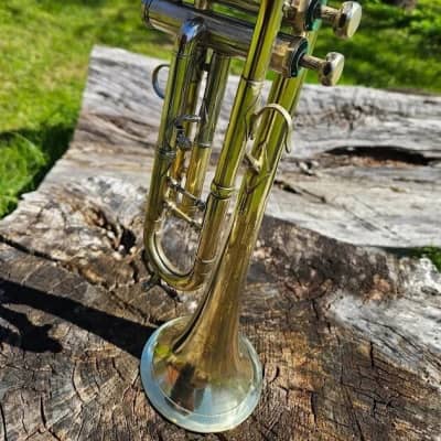 Italian beauty, Stell Melodi, Bb trumpet | Reverb UK
