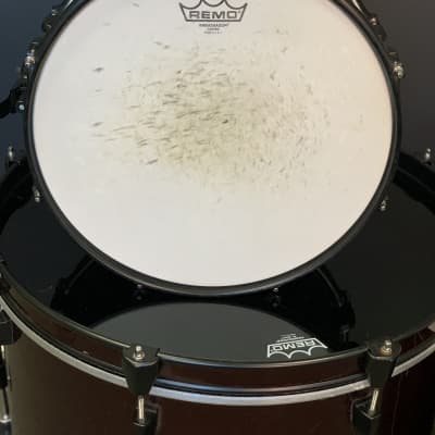 5 piece Pearl Sound Check Series Drum Kit | Reverb