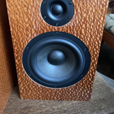 CSS Audio Criton 1TD-X w/ upgraded x-over 2022 - Custom Lace | Reverb