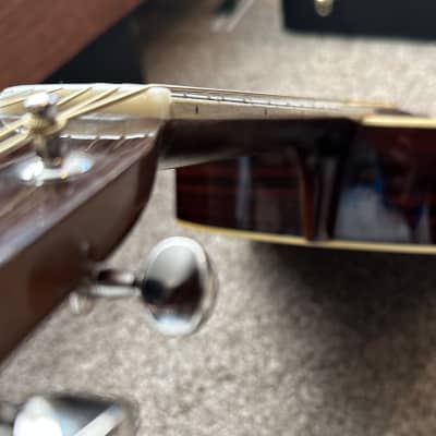 Alvarez 5056 "TREE OF LIFE" 1970s | Reverb