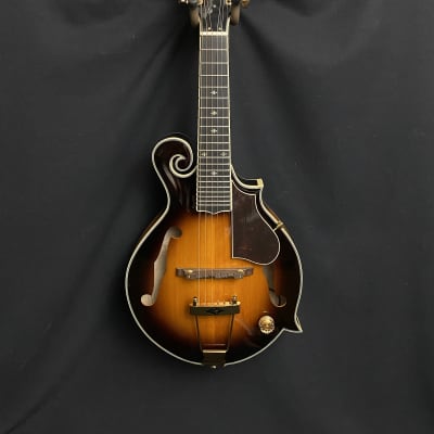 Gold Tone F-6+ Mando-Guitar 6-String Mandolin w/pickup, | Reverb