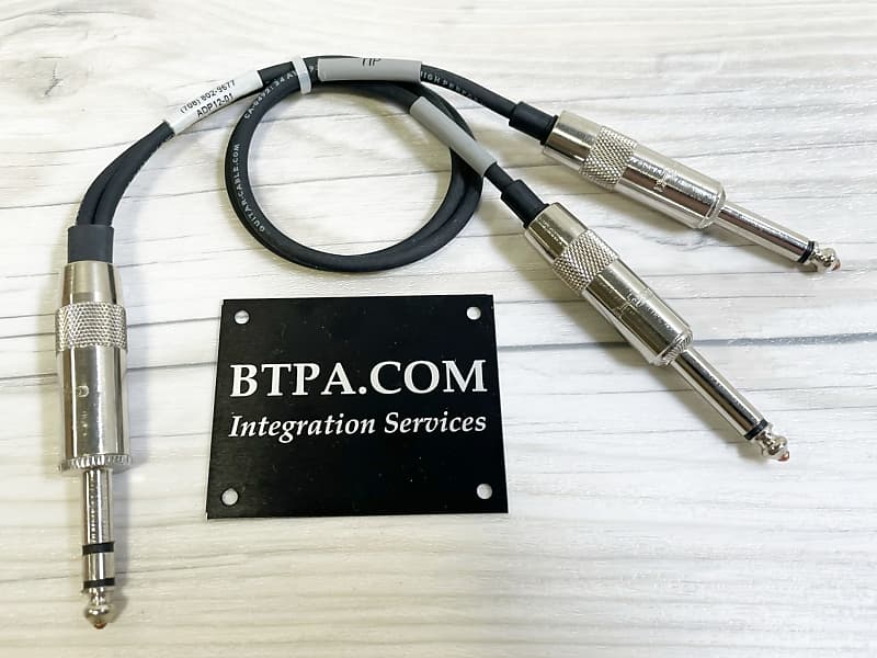 Best-Tronics Pro Audio 12 Inch Insert Cable | Reverb