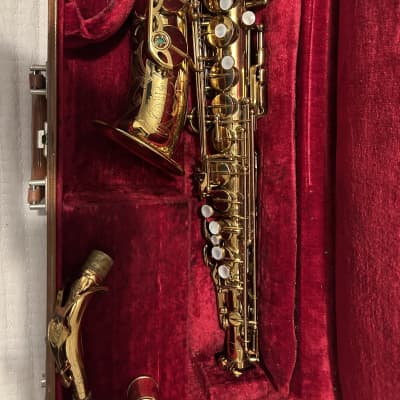 Selmer Paris Mark VI Professional Alto Saxophone SN 225308 | Reverb