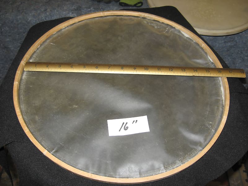 Ludwig 16" Slunk (resonant side) Calf Skin Drum Head | Reverb