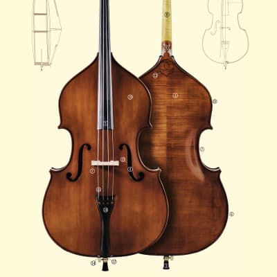 Double Bass Fingerboard Chart and Cheat Sheet (folded, 6 | Reverb