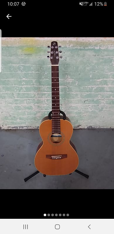 Seagull Coastline Grand Parlor model 29242 | Reverb
