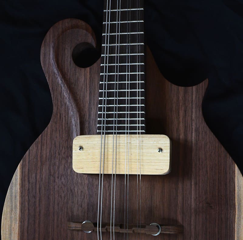 Darkwood USA F Style Electric Mandolin - Walnut Special - 8 | Reverb