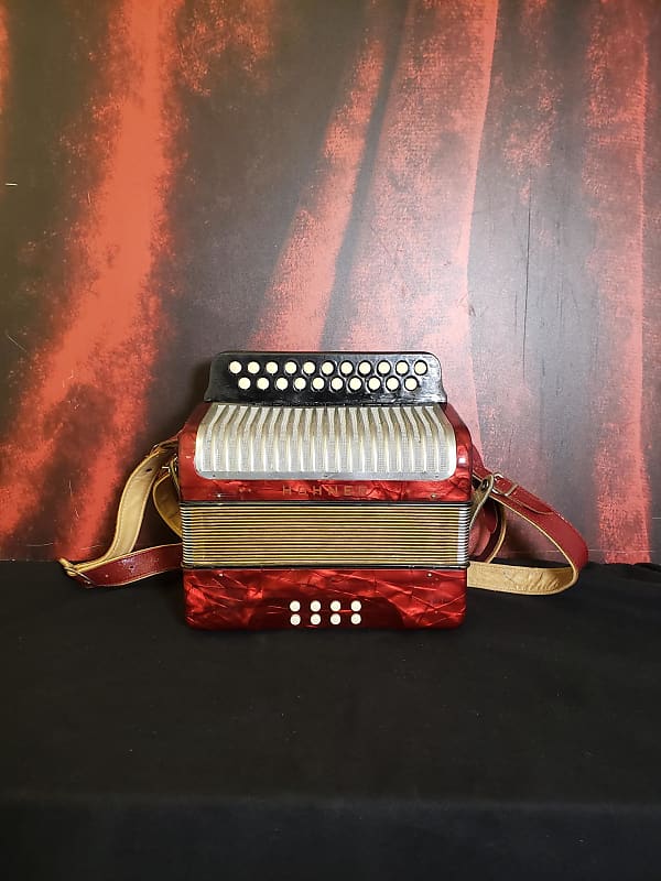 Hohner Erica Travel Accordion with Case | Reverb