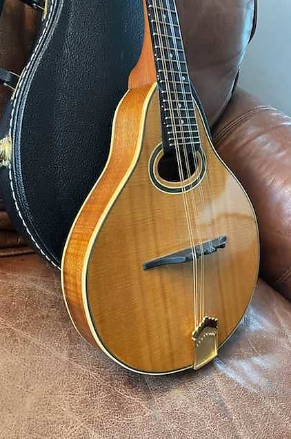 Richard Beard DM Mandolin | Reverb