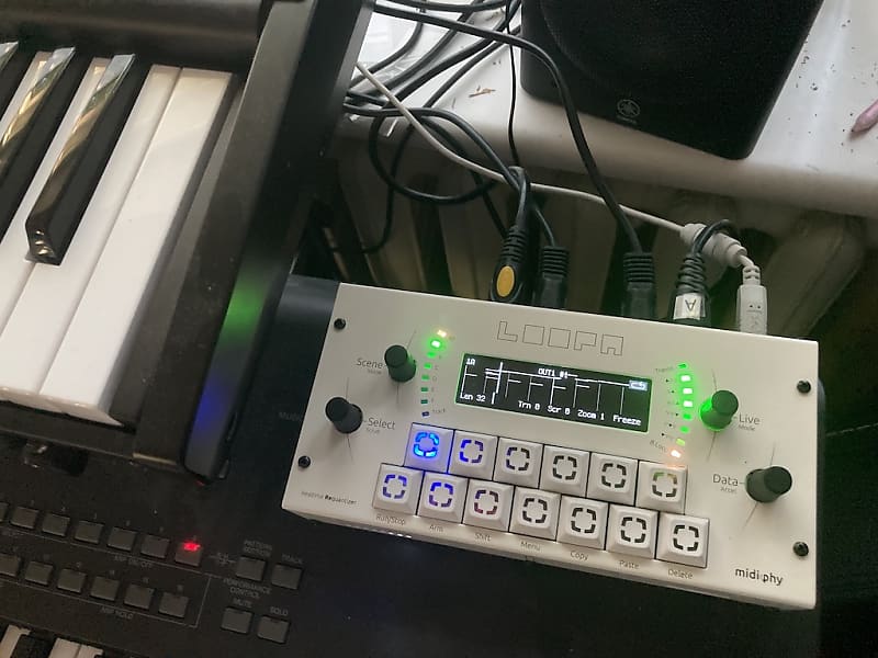 Midiphy Loopa v2 – Rare DIY MIDI Looper/Sequencer | Reverb