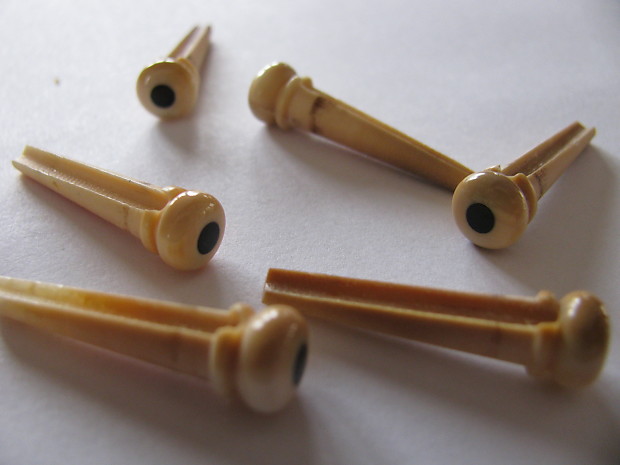 Fossilized Walrus Ivory Acoustic Guitar Bridge Pins | Reverb