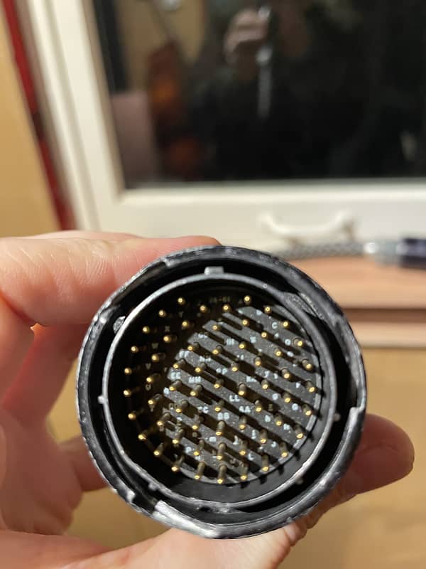 Whirlwind Connectors 61-pin male x2 | Reverb Australia