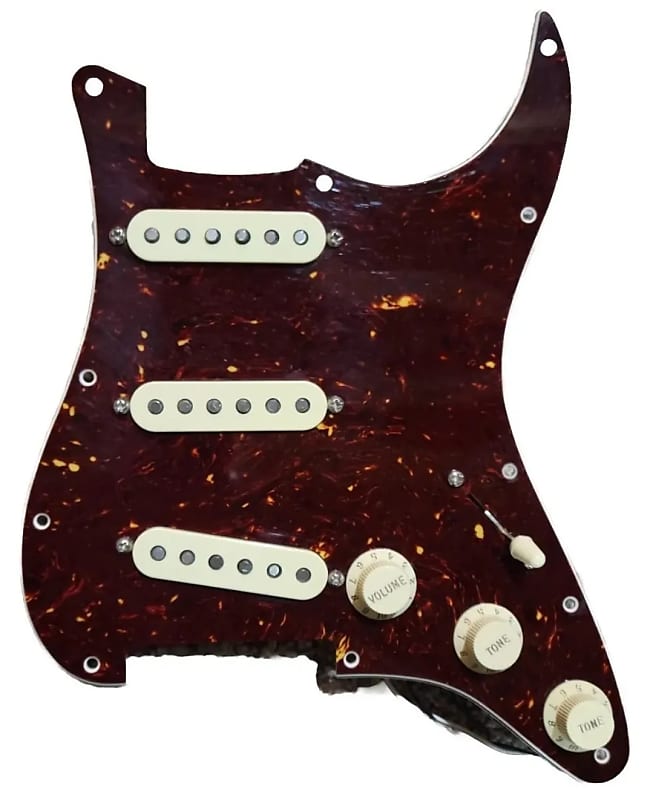 Fender Stratocaster 2019 - Tortoise | Reverb