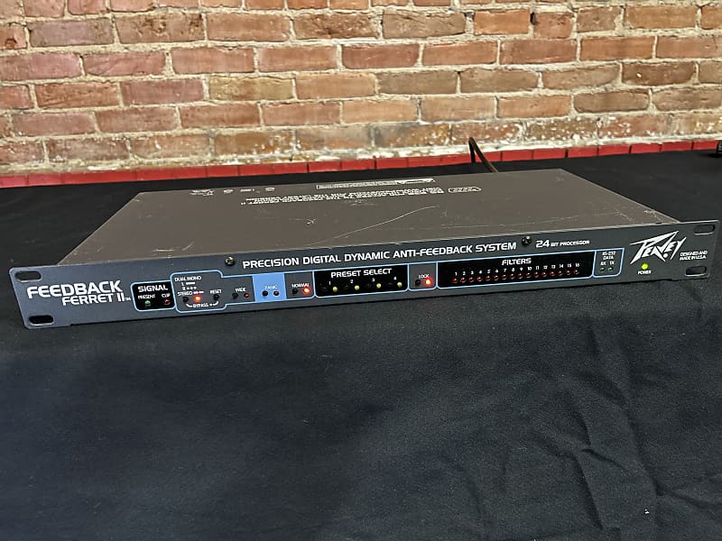 Peavey Feedback Ferret II Digital Dynamic Anti-Feedback | Reverb