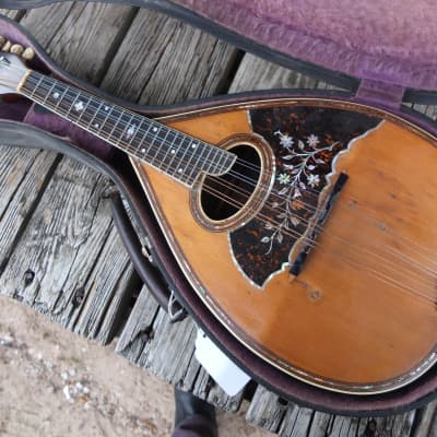 Larson Brothers Stahl Flat Back Mandolin 1930s - Natural | Reverb