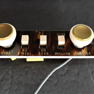 Genuine Hofner German Beatle Bass Guitar Control Panel | Reverb