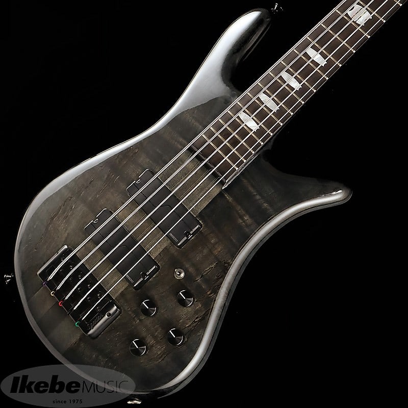 SPECTOR Euro 5 LT Limited (Black Fade Gloss) /Used | Reverb