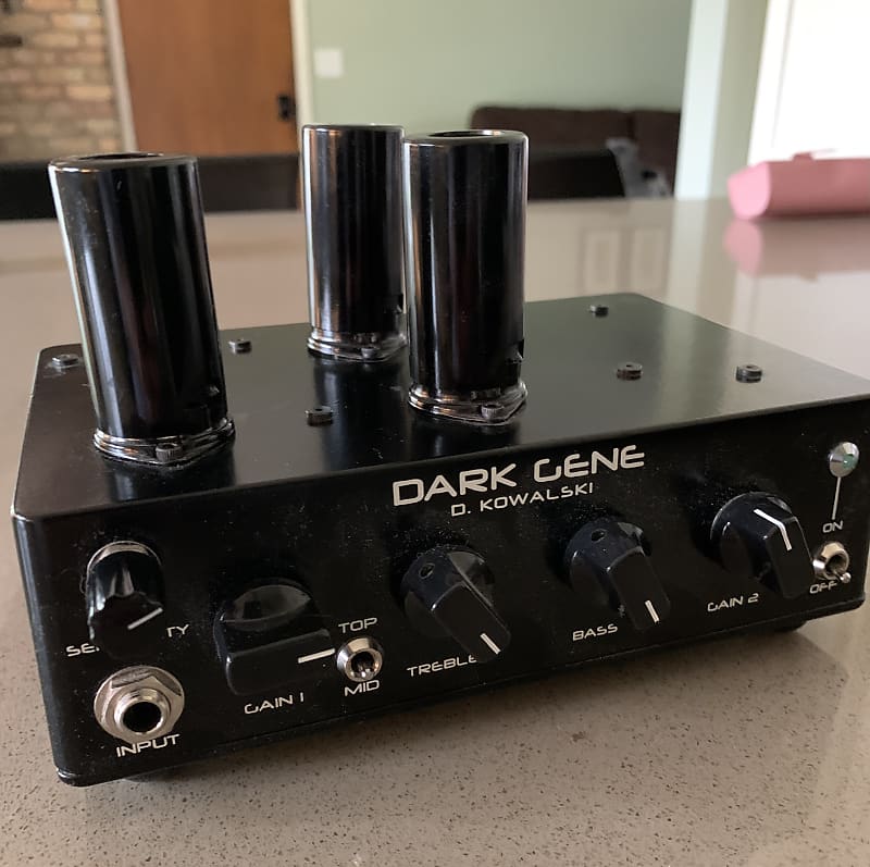 D. Kowalski Dark Gene green 2021 amp modded | Reverb