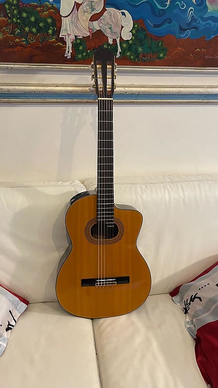 Takamine E-30 1990 - Natural | Reverb