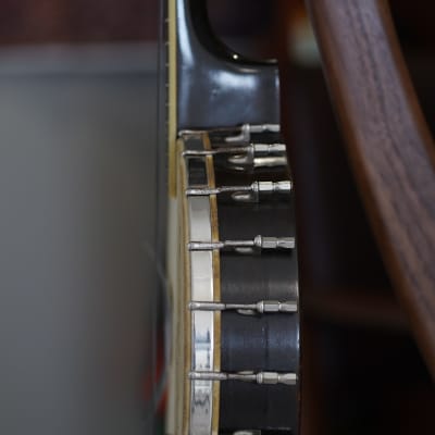 Gibson Banjo Mandolin Bill Monroe Signed | Reverb