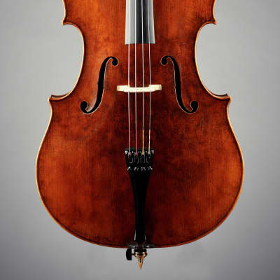 Marinos Glitsos cello, one-piece willow back, 2024, St. Paul, | Reverb