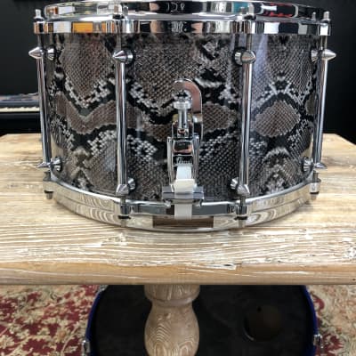 Pearl Vinnie Paul 14x8” Signature Snakeskin Snare Drum | Reverb