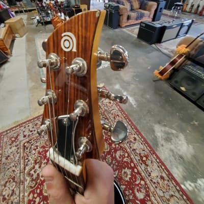 Ampeg, Dan Armstrong Reissue AMG100, 2008, Cherry | Reverb