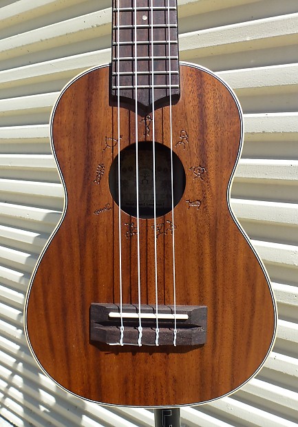 aNueNue Lani I - Koa Soprano Long Neck Electric Ukulele with | Reverb