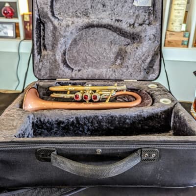 Custom Courtois Soprano Eb Cornet | Reverb