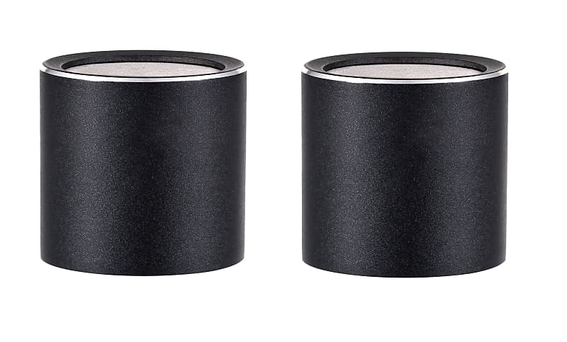 sE Electronics Omnidirectional Capsule Pair for sE8 | Reverb