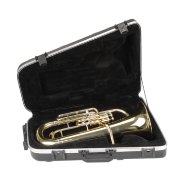 Hard Recorder Case with Artificial Leather by Mollenhauer - | Reverb