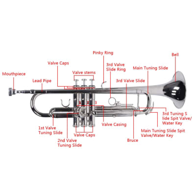 Glarry Brass Trumpet Bb with 7C Mouthpiece Silver | Reverb