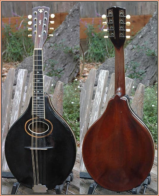 Dayton Style B Mandolin 1911 | Reverb