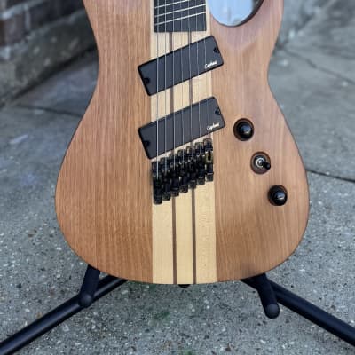 Agile Pendulum Multiscale 7 String | Reverb